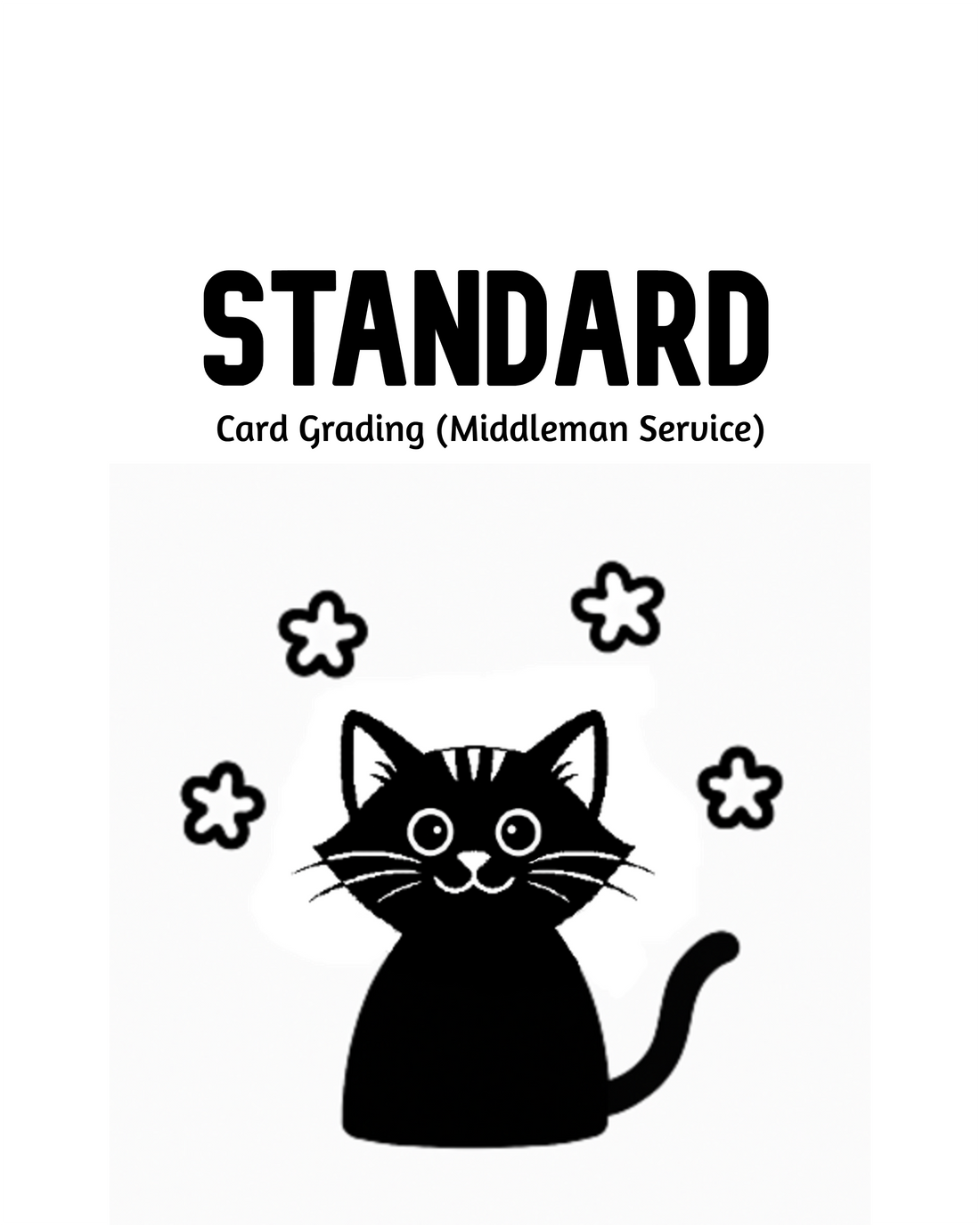 Ace Grading Standard Submission (Middleman Service) – Kiki's TCG and ...